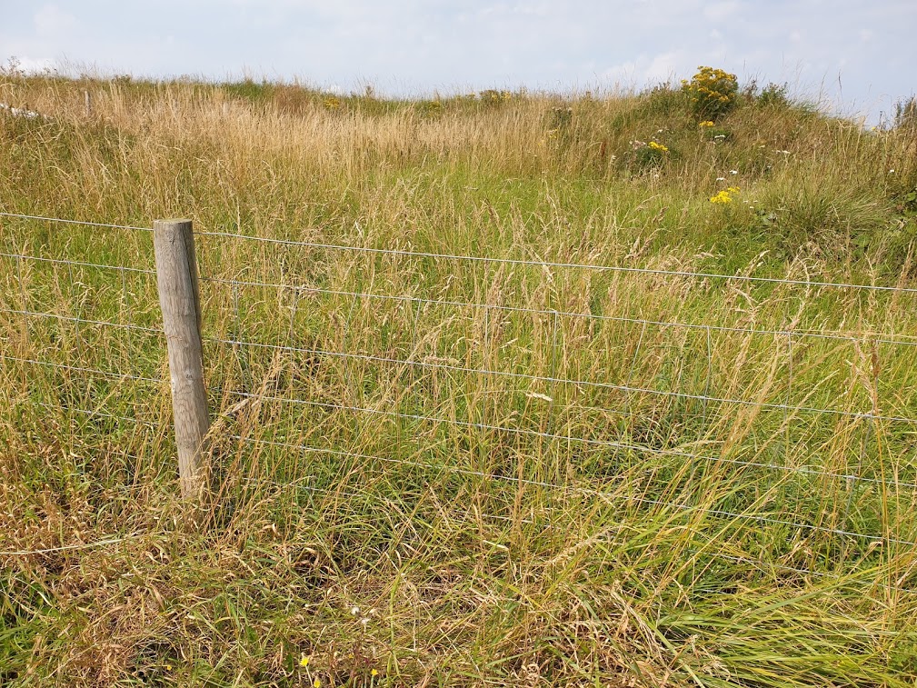 THE PHYSICAL EXERTION OF HUMAN FLIGHT – Paul Thompson